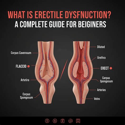 What Is Erectile Dysfunction Complete Beginners Guide To Ed Symptoms