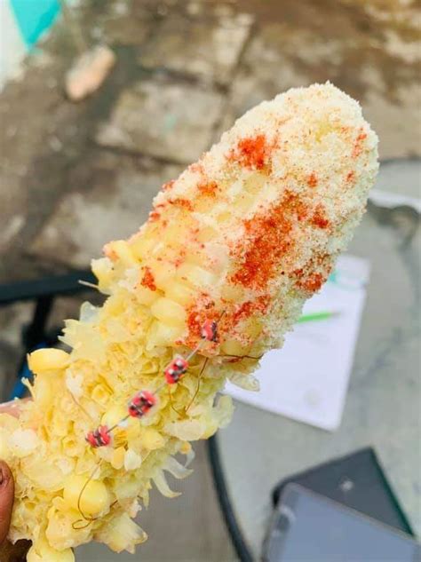 Getting Your Braces Stuck In Corn R Wellthatsucks