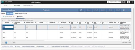 Equis Geotech Dashboard Field Data Entry