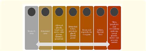 Zones That Can Be Determined In The Iris 1 Download Scientific Diagram