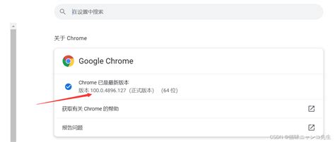 selenium 谷歌驱动（chromedriver）安装教程 csdn博客