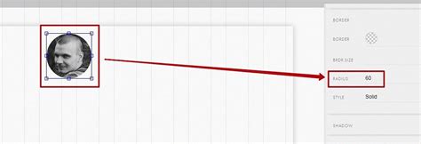 Zero блок на примере создания сайта в конструкторе Tilda Skillbox Media