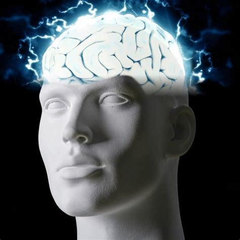 Un Nouveau Type De Réseau De Neurones Artificiels Inspiré Par Le