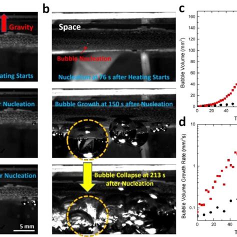 A The Model Used In The Thermofluidic Surface Bubble Nucleation Download Scientific Diagram