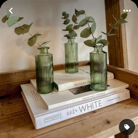 Which Style Roots Do You See Rstyleroots