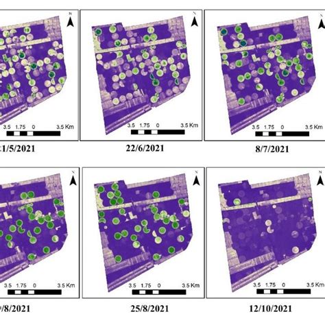 The Spatial Distribution Of The Daily Biomass Production Bio Values