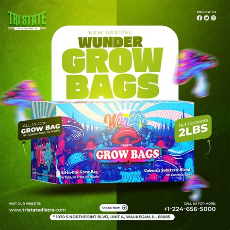 Sameer Akhtari On Linkedin Todayatwork Graphicdesign Innovation Linkedinportfolio