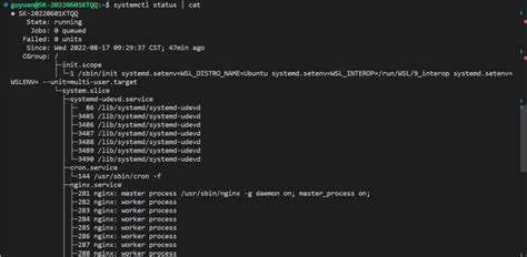 wsl2使用systemctl命令的方法，简单快捷 知乎