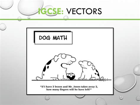 SOLUTION Igcse Vectors Studypool SOLUTION Igcse Vectors Studypool