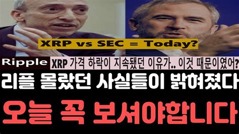 리플전망 리플 Xrp 결국 증권아니다 인정한 Sec 이런 사실을 왜 이제서야 오늘 영상은 꼭 보셔야합니다 리플전망 리플호재 리플급등 리플코인 리플소송
