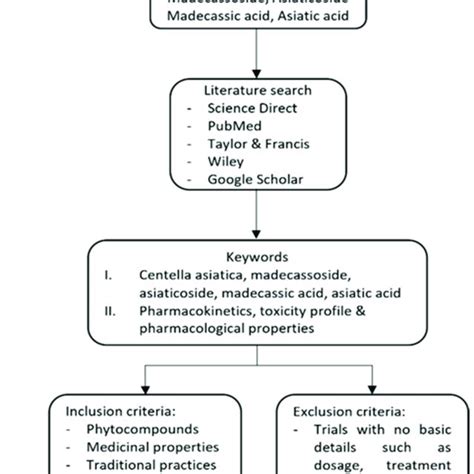 Summary Of Methodology Download Scientific Diagram