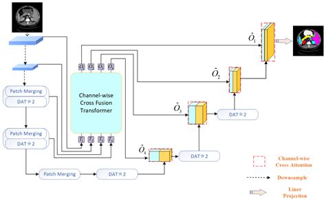 A Multi Scale Cross Fusion Medical Image Segmentation Network Based On