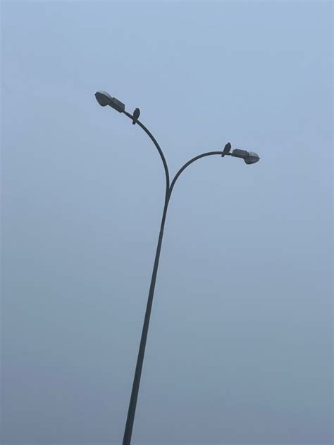 Максим Стефаненко On Linkedin Що таке популізм в політиці і до чого це