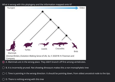solved what is wrong with this phylogeny and the information