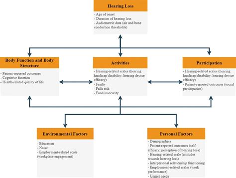Biopsychosocial Model And The Survey Data Belonging To Each Of The Download Scientific Diagram
