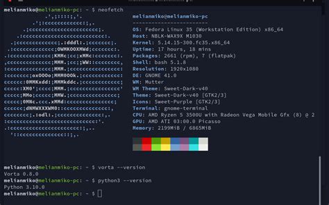 Segmentation Error With Python 310 · Issue 1094 · Borgbasevorta · Github
