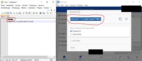 Manually Marking And Copying The Password In The Generator Inserts A