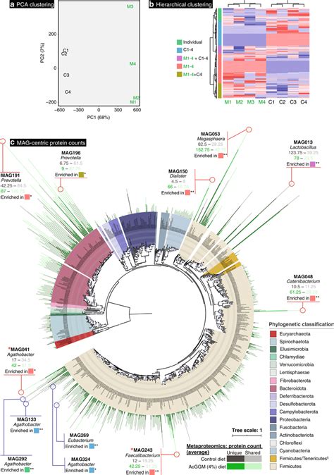 Genome Centric Metaproteomic Analysis Of Colon Samples Collected From Download Scientific