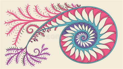 fibonacci sequence circular spiral illustration for adults beautiful
