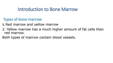 Solution Introduction To Bone Marrow Structure And Function Of Bone