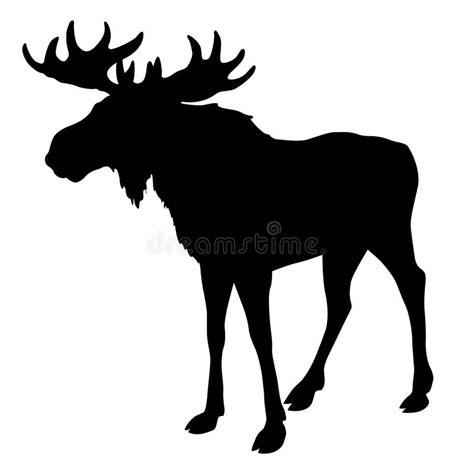 Black White Moose Stock Illustrations 3724 Black White Moose Stock