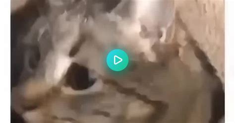 This Sums It Up Album On Imgur