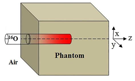 Geometry Used In The Simulation Download Scientific Diagram