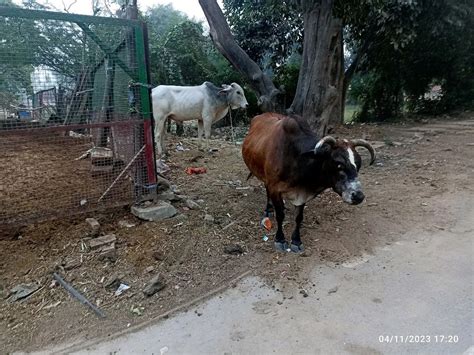 Linkedin Personalbranding Linkedincommunity Aradhana Trigunayat 31 Comments