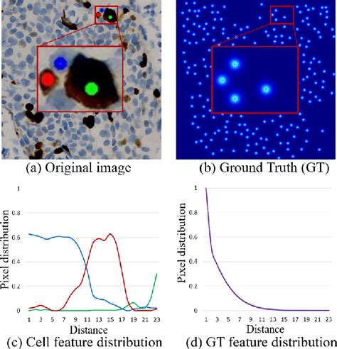 Figure 1 From Multi Scale Hypergraph Based Feature Alignment Network For Cell Localization