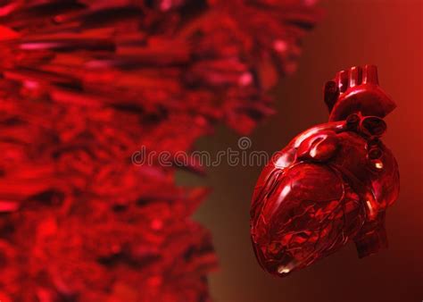 Aders En Slagaders Het Vaatstelsel Stock Illustratie Illustration Of