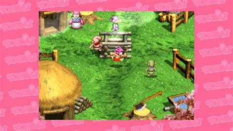 Tomba Special Edition Review Cat With Monocle