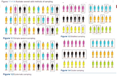 Sampling Flashcards Quizlet Sampling Flashcards Quizlet