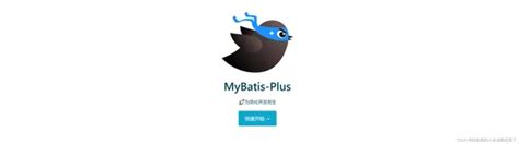 10、mybatis plus 多数据源 阿里云开发者社区