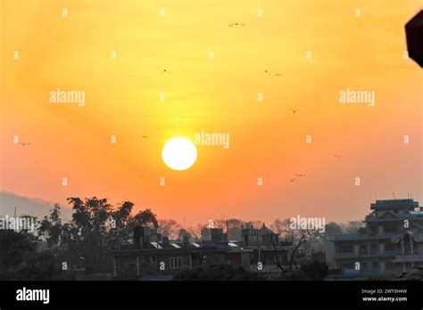 Sunrise With Flocks Of Birds Over City Roofs In Warmly Coloured Light