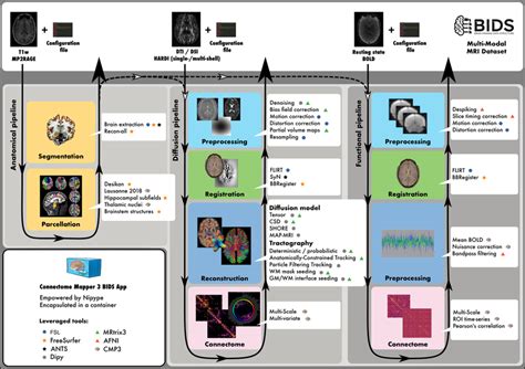overview of the connectome mapper 3 bids app s workflow download