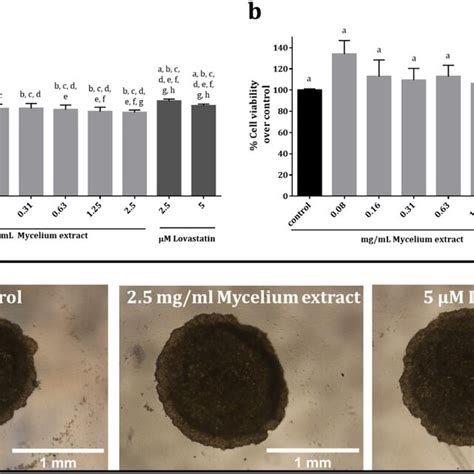 Morphology Of Ganoderma Australe A Fruiting Body B Basidiospores Download Scientific