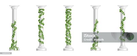흰색 배경에 고립 된 녹색 담쟁이 크리퍼대리석 그리스 어 기둥 등반 헤데라 포도 나무돌 기둥 로마 건축 디자인 요소에 크레프트 식물의 현실적인 3d 벡터 그림 기둥 건축적