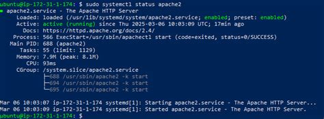 how to set up an ec2 instance with a custom ami