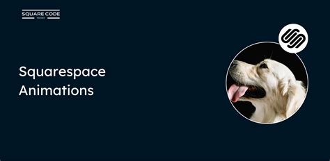 17 Stunning Squarespace Animations For Your Website