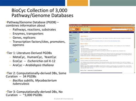 ppt metabolomics applications of the biocyc databases and pathway