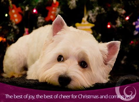 Верные друзья Обсуждение на Liveinternet Российский Сервис Онлайн Дневников