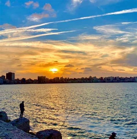 حسام عزت Hossam Ezzat