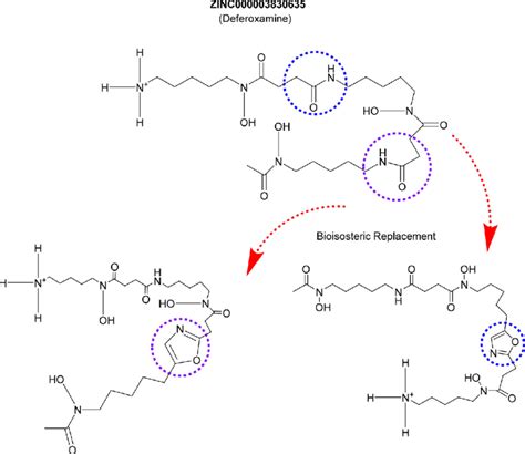Bioisosteric Replacement Of Zinc000003830635 Deferoxamine Download Scientific Diagram