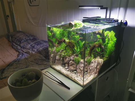 Best Hobby Imho R Aquascape