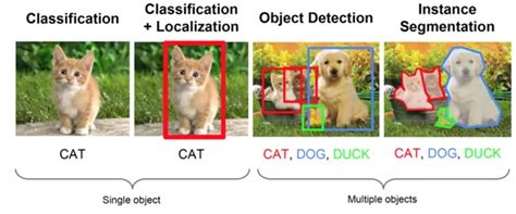 Digital Image Processing Dip A Beginners Guide Lumenci