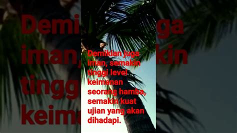 Semakin tinggi sebuah pohon,kata bijak#shorts - YouTube