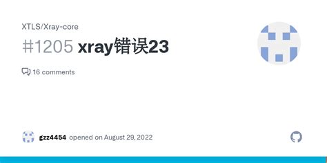 xray错误 Issue XTLS Xray core GitHub