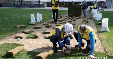 포토 절기 곡우 서울광장에 푸른 잔디 식재