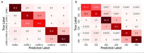 Average Confusion Matrices After Fivefold Testing For A 5 Stage