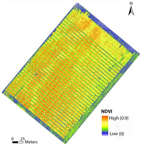 Ndvi Map Generated From Multispectral Data Collected With The Sentek Download Scientific
